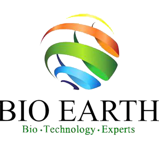 ‘A long, long road ahead’: Gaza rebuilds from zero - Bio Earth Ghana ...